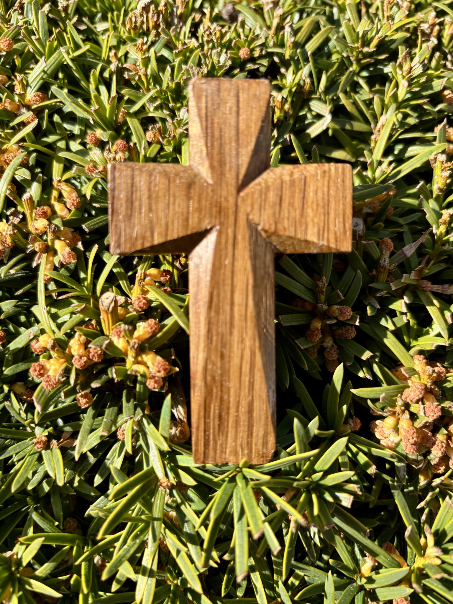 Ancient wood used by monks centuries ago lives on in cross given to ...