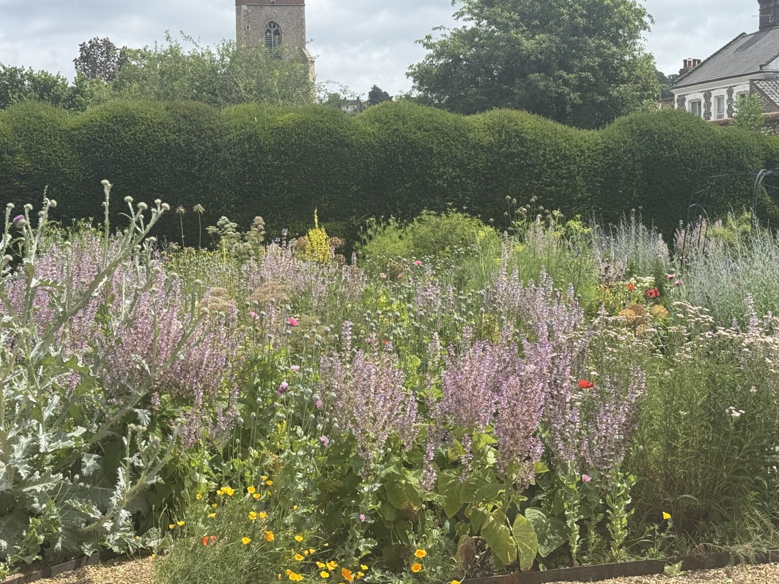 Petertide Ordinations: Oaths and Declarations, 24 June 2025 - Diocese ...