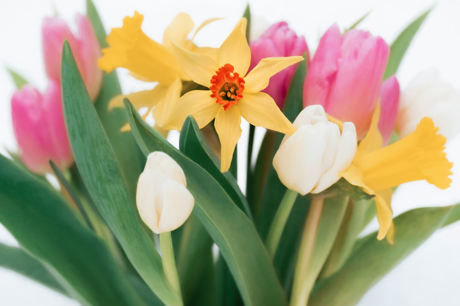Flower power - Diocese of Norwich